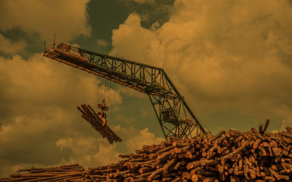 Timber Resources - Battle Lumber Company